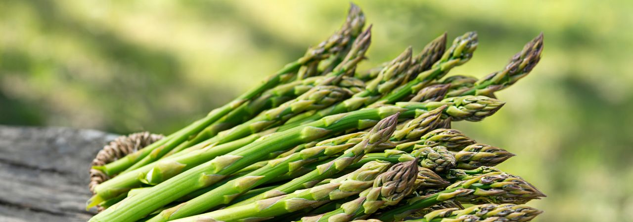 Aspergesoep Recept: Leer Hoe Je Deze Heerlijke Soep Maakt