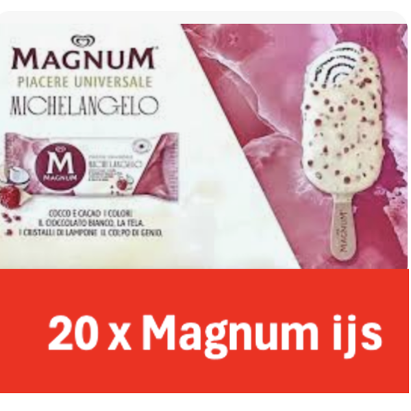 Magnum Michelangelo 20x90ml - MegaFoodStunter